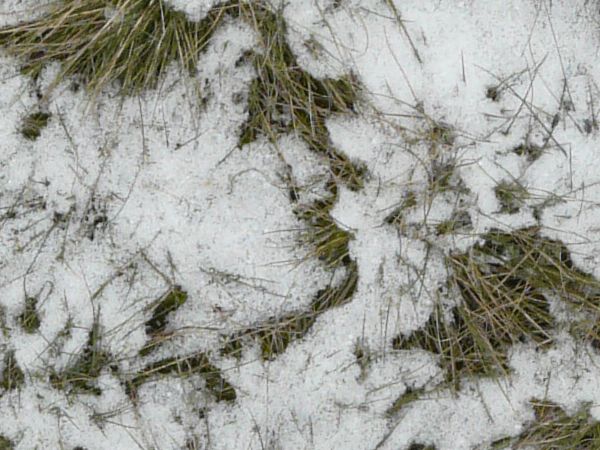 frozen ground texture 0050 - Texturelib